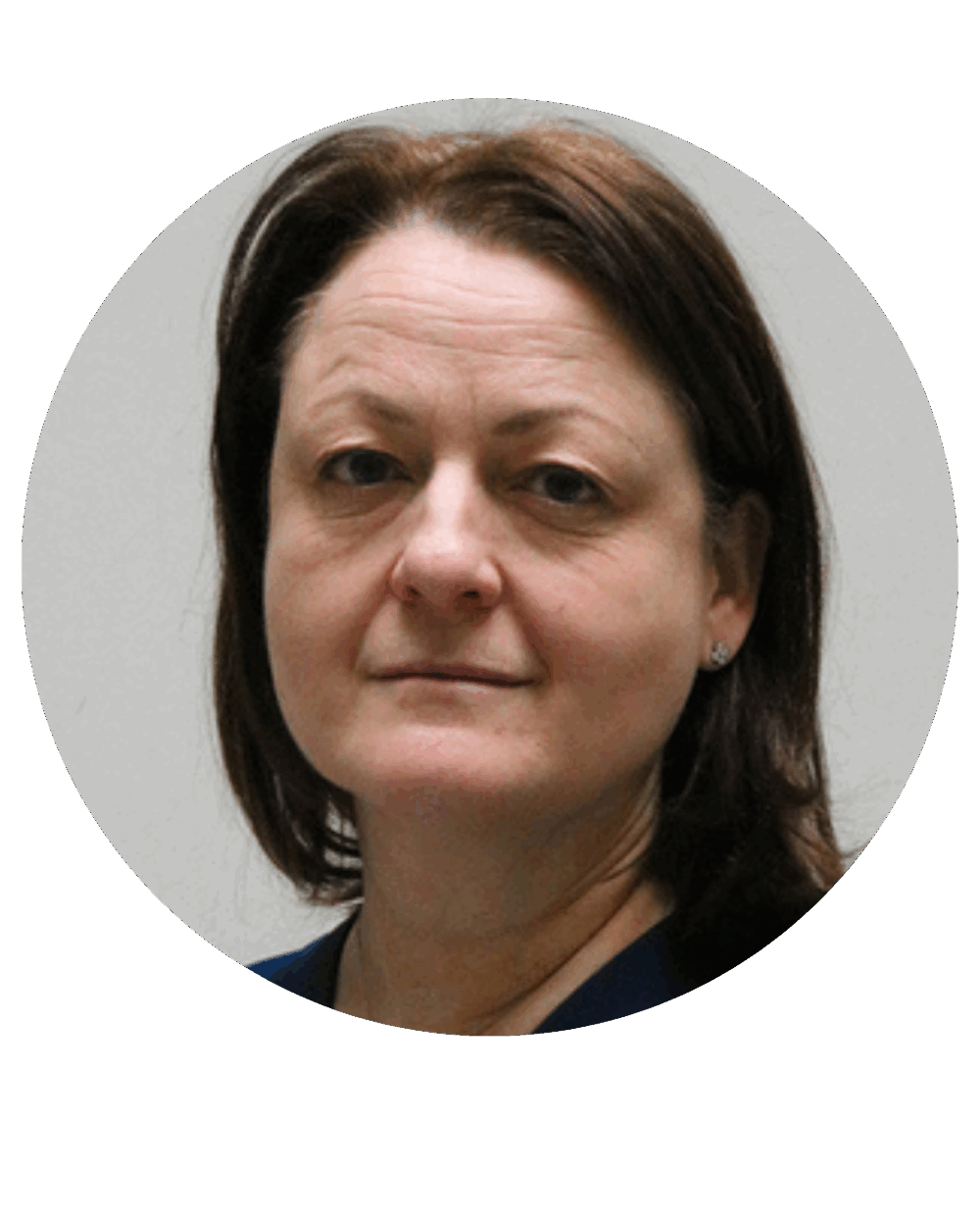 One Big Thing - A Modern Civil Service